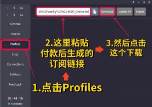 😸小猫咪版本-Windows – Thunder-Cloud